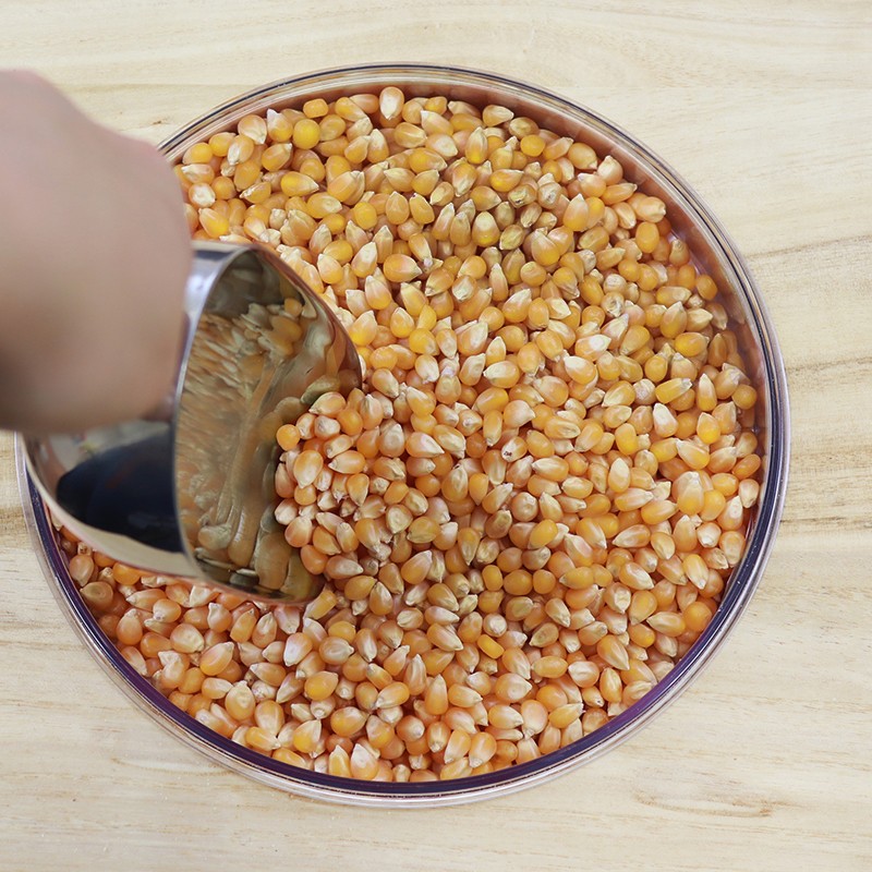 Varietà di mais italiano per popcorn da agricoltura biologica.