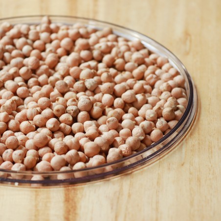 Ceci. Provenienza: Italia.